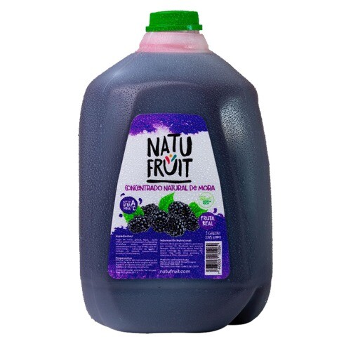 PULPA DE MORA GL NATUFRUIT - Joyca Food